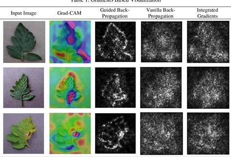 Table 1 From Analysis Of Tomato Leaf Disease Identification Techniques Semantic Scholar