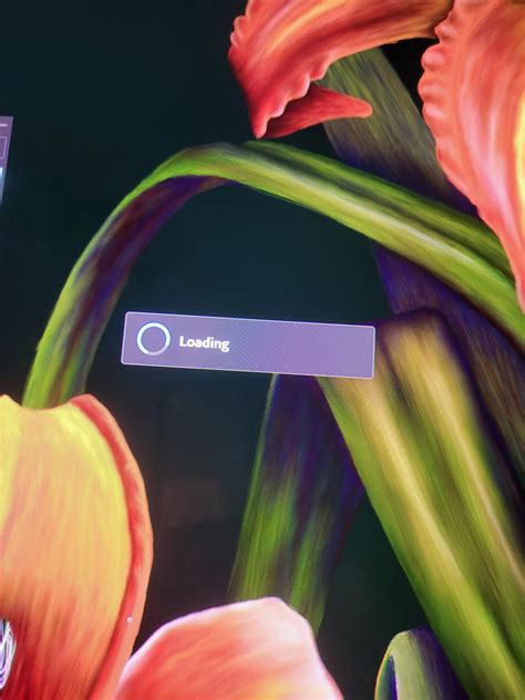 Constant Freezing Only Adobe Program That Does This Anyone Know Why Radobefresco