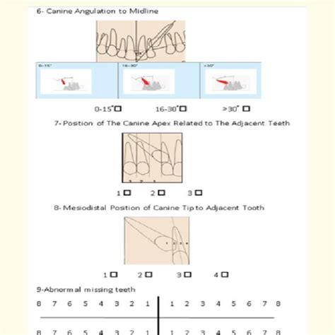 Lindauers Classification Download Scientific Diagram