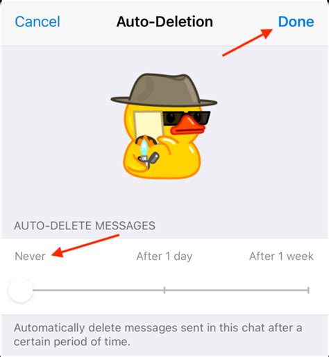 How To Auto Delete Messages In Any Telegram Chat