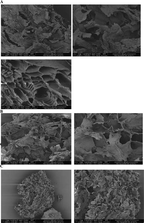 Scanning Electronic Micrographs Of Idfs A Scanning Electronic