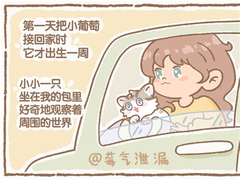 狠狠爱它吧不用控制 莓气泄漏124 站酷ZCOOL