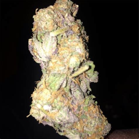 Purple Champagne Weed Strain Information Leafly