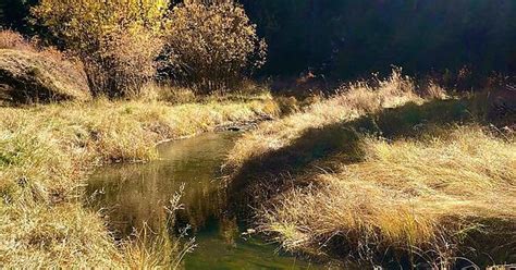 East Fork Trail Album On Imgur