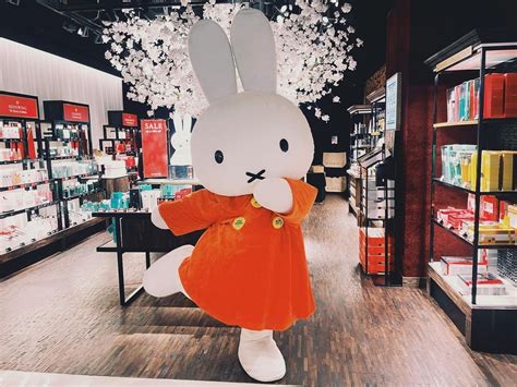 Miffy On Twitter You Go Miffy Instagram User Story Slasher