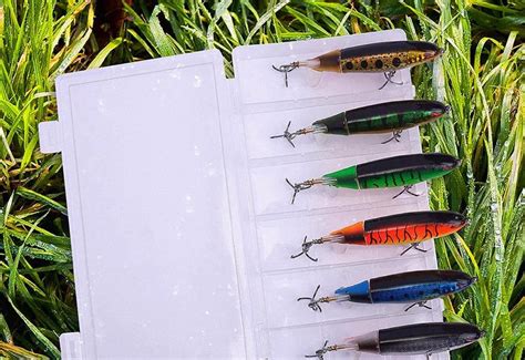 Best Color Whopper Plopper 9 Best Choices In 2024