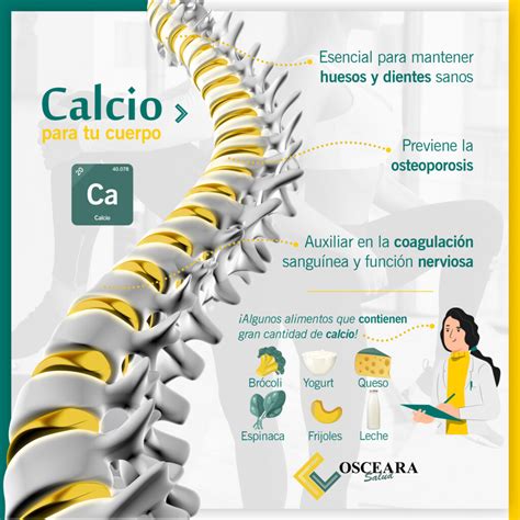 Alimentos Ricos En Calcio Osceara
