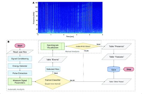 Identification Of IPHD Clicks A Spectrogram Nfft 2048 Overlap