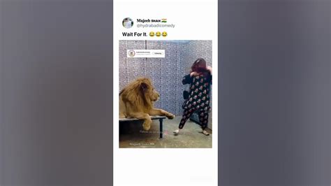 Behen Dar Gayi 🤣 Youtube