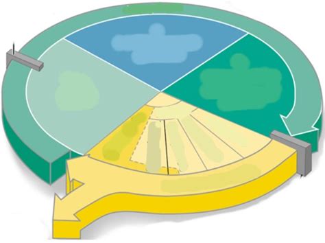 Practical 1 Diagram Quizlet