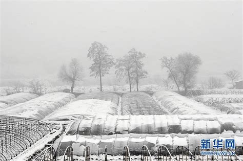 “倒春寒”来袭 甘肃多地迎来罕见雨雪天气组图 国际在线