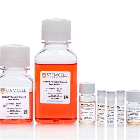 STEMdiff脑类器官试剂盒价格 详情介绍 960化工网 960化工网