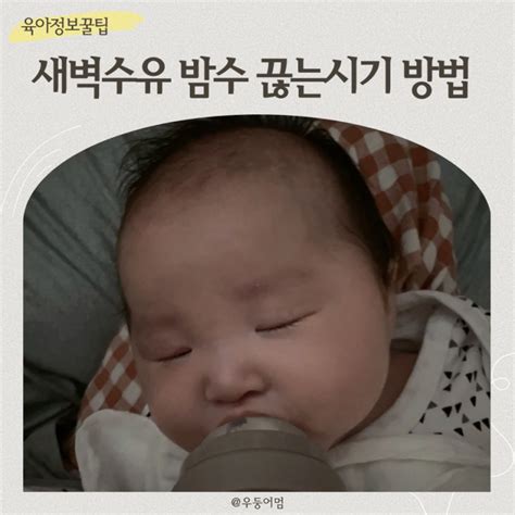 새벽수유 밤중수유 끊는 시기 방법 경험담 네이버 블로그