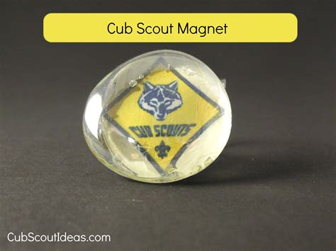 Cub Scout Leader Appreciation Ts