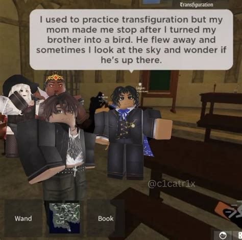 Pin By Marcela Colorado On Chloé Roblox Memes Roblox Look At The Sky