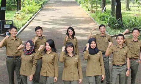 Rincian Gaji Perhutani Untuk Semua Posisi Terbaru 2025