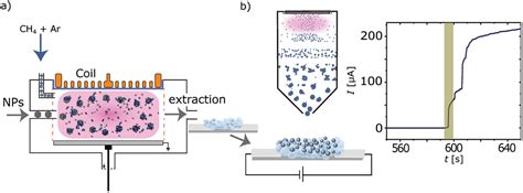 In Situ Imaging Of Dynamic Current Paths In A Neuromorphic Nanoparticle Network With Critical