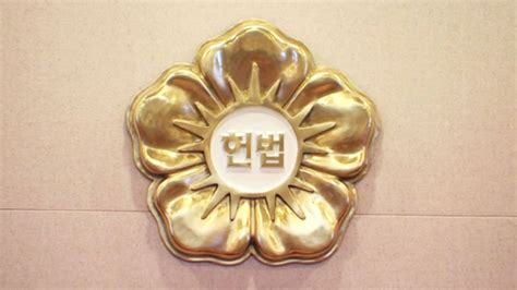 헌재 32주 전 태아 성감별 금지 의료법 위헌‥부모 권리 제약