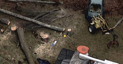 26 Year Old Tree Worker Killed In Sudbury Cbs Boston