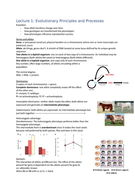 Lecture Notes Evolutionary Medicine Lecture 1 Evolutionary Principles And Processes Evolution