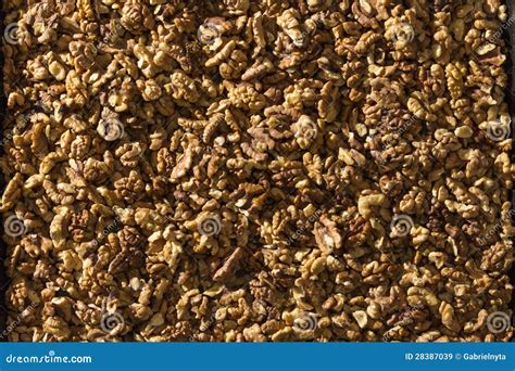 Nutmeat Stock Image Image Of Delicious Minerals Dieting 28387039