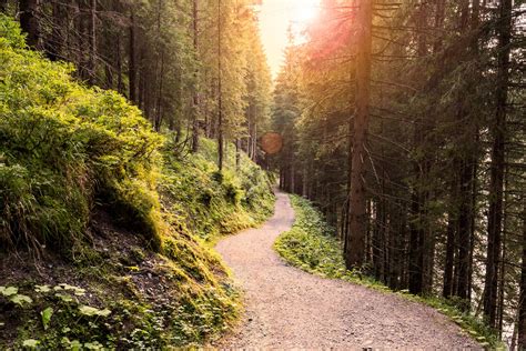 42 Romantic Fall Date Ideas Fun Fall Dates For Couples 2023