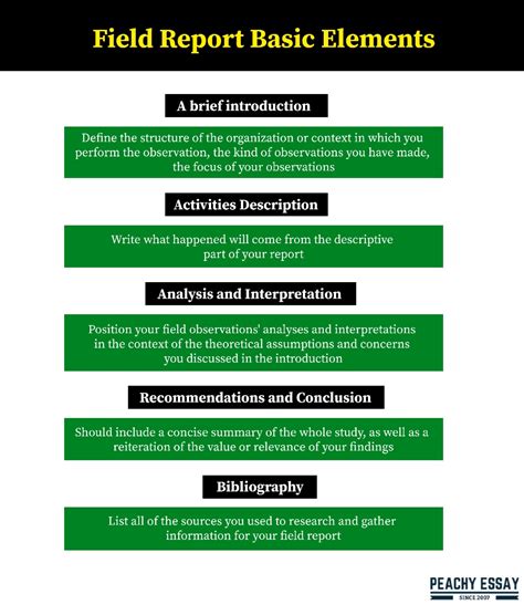 How To Write A Field Report Academic Writing Guide