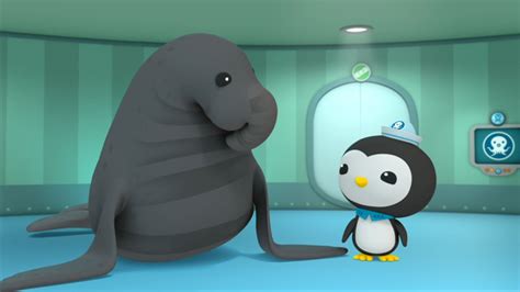 Octonauts S1 The Octonauts And The Enormous Elephant Seal Abc Iview
