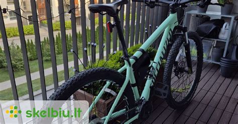 Specialized Rockhopper 29er Skelbiult