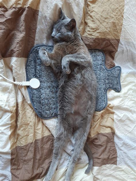 This Heated Blanket From Lidl Wast The Best Present His 10th Birthday