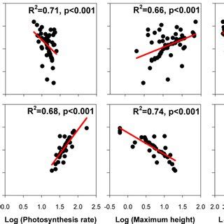 Relationships Between Species Relative Relative Abundance And