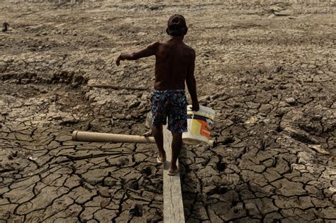 La Extrema Sequía En La Amazonía Brasileña Deja Al Descubierto Un