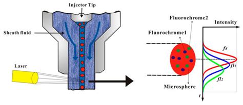 Cell Group Recognition Method Based On Adaptive Mutation Pso Svm