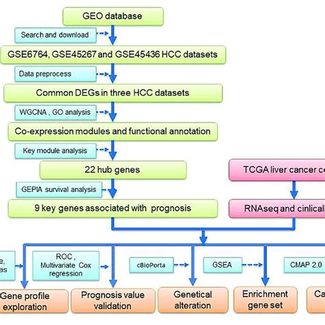 flowchart of data analysis procedure data collection processing