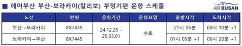 에어부산 부산 보라카이 부정기편 운항
