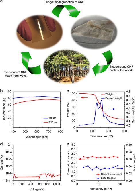 Introduction To Cellulose Nanofibril Cnf Paper And Its Basic