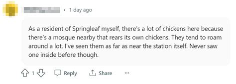 Rooster Seen Wandering At Springleaf Mrt Probably Enjoying Aircon