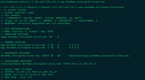 Anycast Migration For Global Dns Service Fortigslb 23 4 0 Fortinet