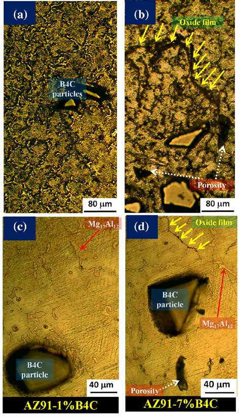 The Optical Microstructures Of A Etched Az91 1b 4 C B Etched