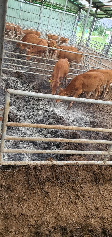 공지사항 대동테크 농축산용 기계 제품 제조 기업