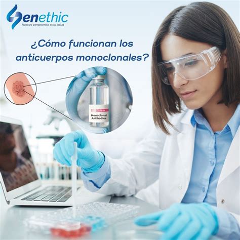 Los Anticuerpos Monoclonales Son Genethic Mx Oficial
