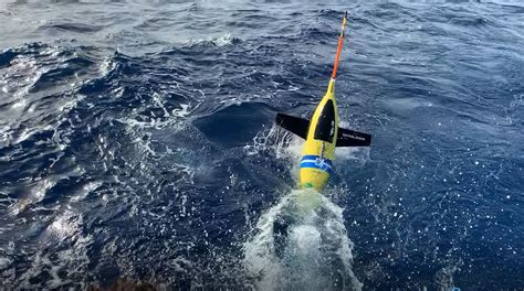 Second Frontiers In Ocean Observing Supplement Published In Oceanography Magazine Global Ocean