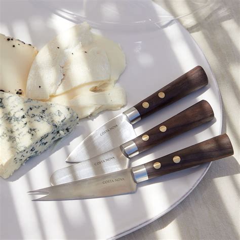 Pronged Cheese Knife Costa Nova Professional
