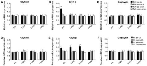 Quantitative Determination Of The Mrna Expression Of Glycine Receptor Download Scientific