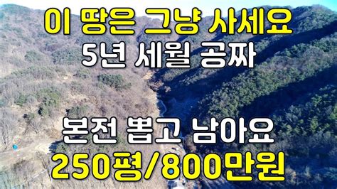 이 땅은 그냥 사세요~5년 세월을 공짜로 먹고 본전 뽑고도 남아요~250평 단돈800만원땅집정보통 부동산 경매정보