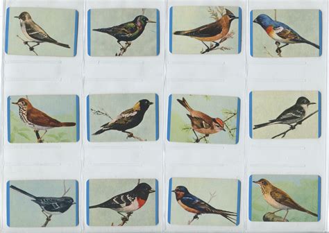 Lot Detail Kosto Pudding Bird Card Complete Set Of 48 Cards