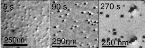 Plan View Bright Field Transmission Electron Micrographs Of Inas Gaas