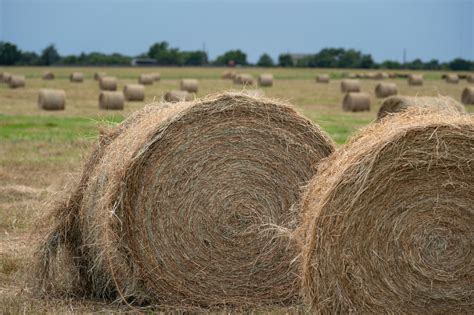 Hay Demand Still Light In Kansas Prices Mostly Steady High Plains