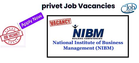 Nibm Management Assistant Receptionist Vacancies 2024