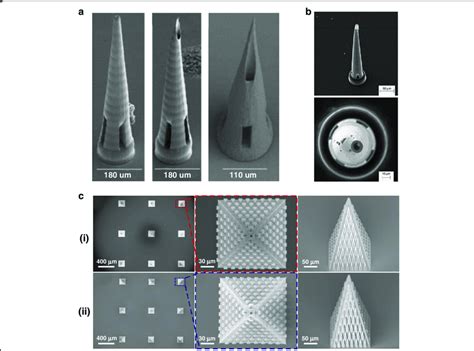 Microneedle Array Fabrication Development By 2pp A Microneedles